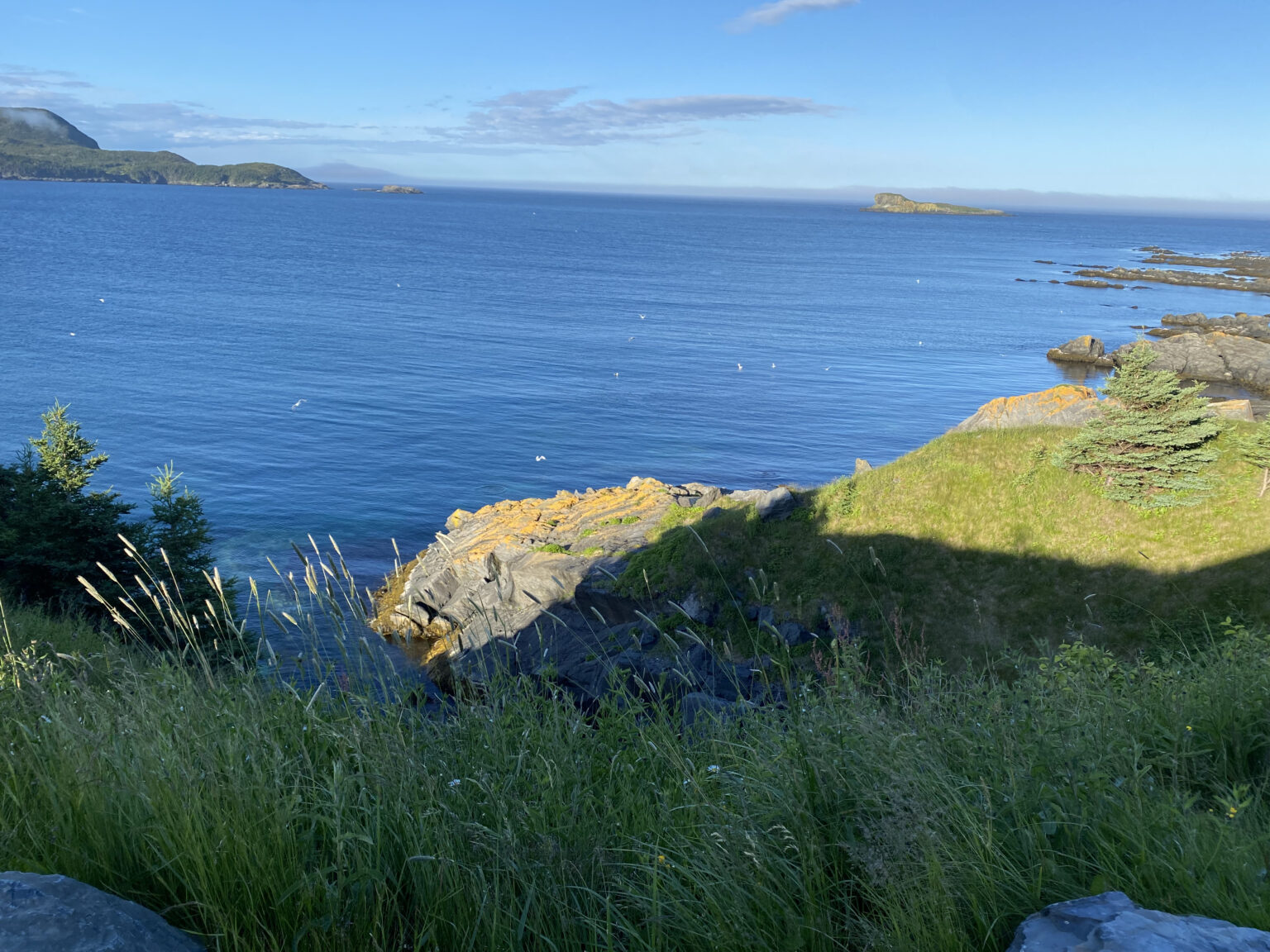 Newfoundland Travel Guide